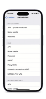 APN Vodafone: Come Configurarlo su Smartphone e Router - Switcho