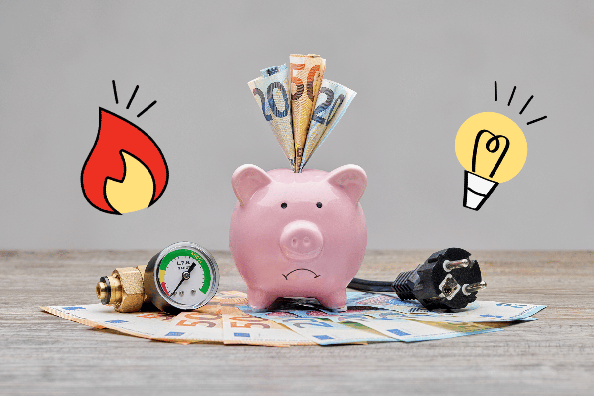 Cosa Sono le Offerte Dual Fuel Luce e Gas? Vantaggi e Info Utili - Switcho